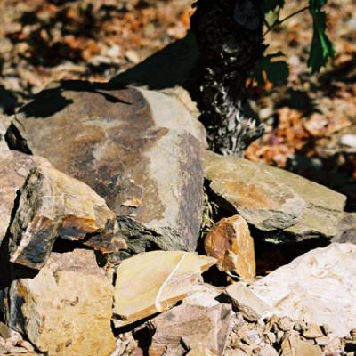 Shale soils